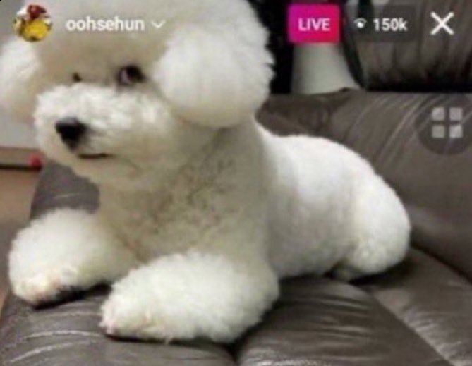 ¿what are some kpop meme/reaction vids that went viral outside of the ...