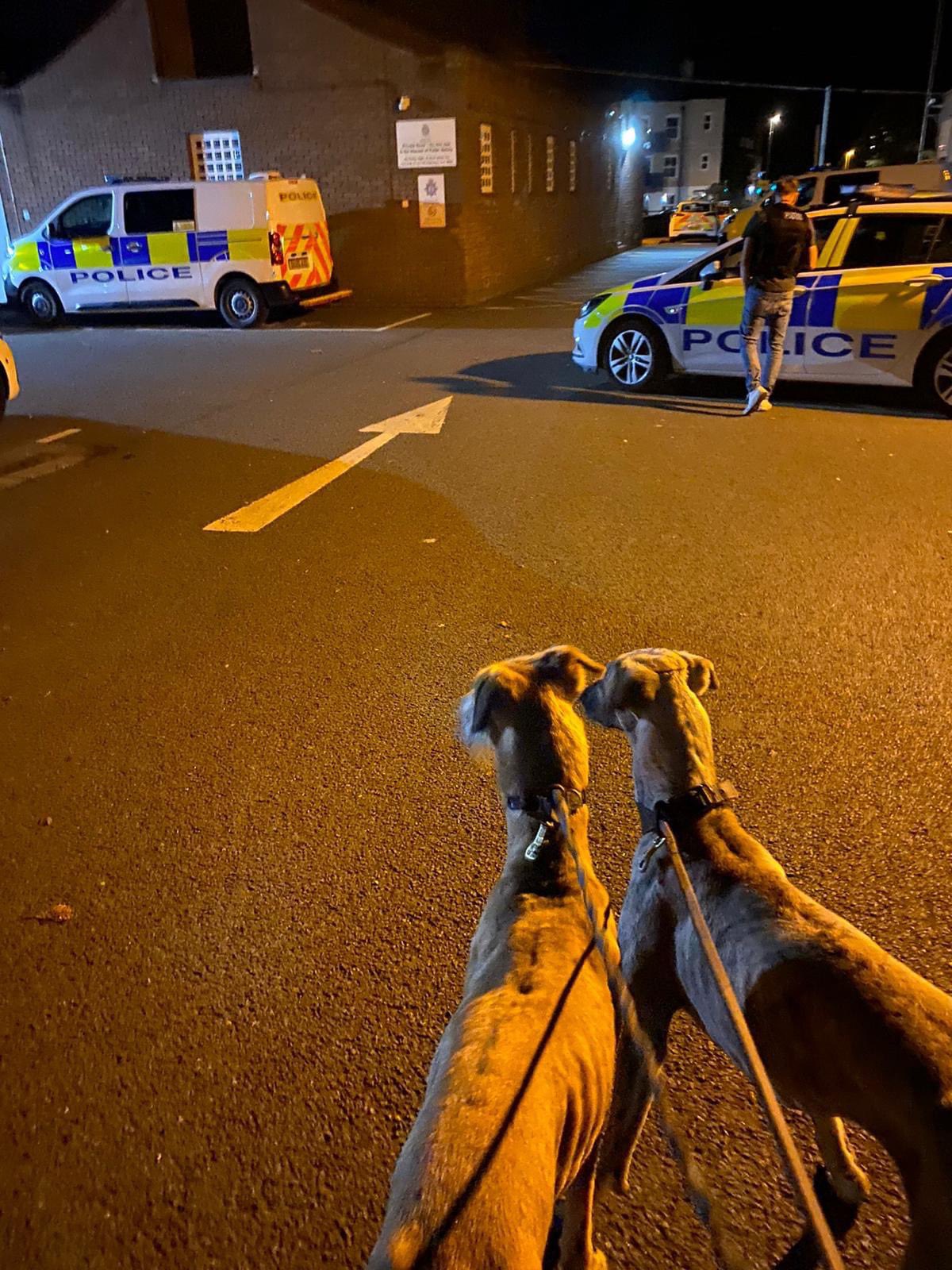 Cambs Police ๐ On Twitter Last Night Officers In Huntingdon Responded