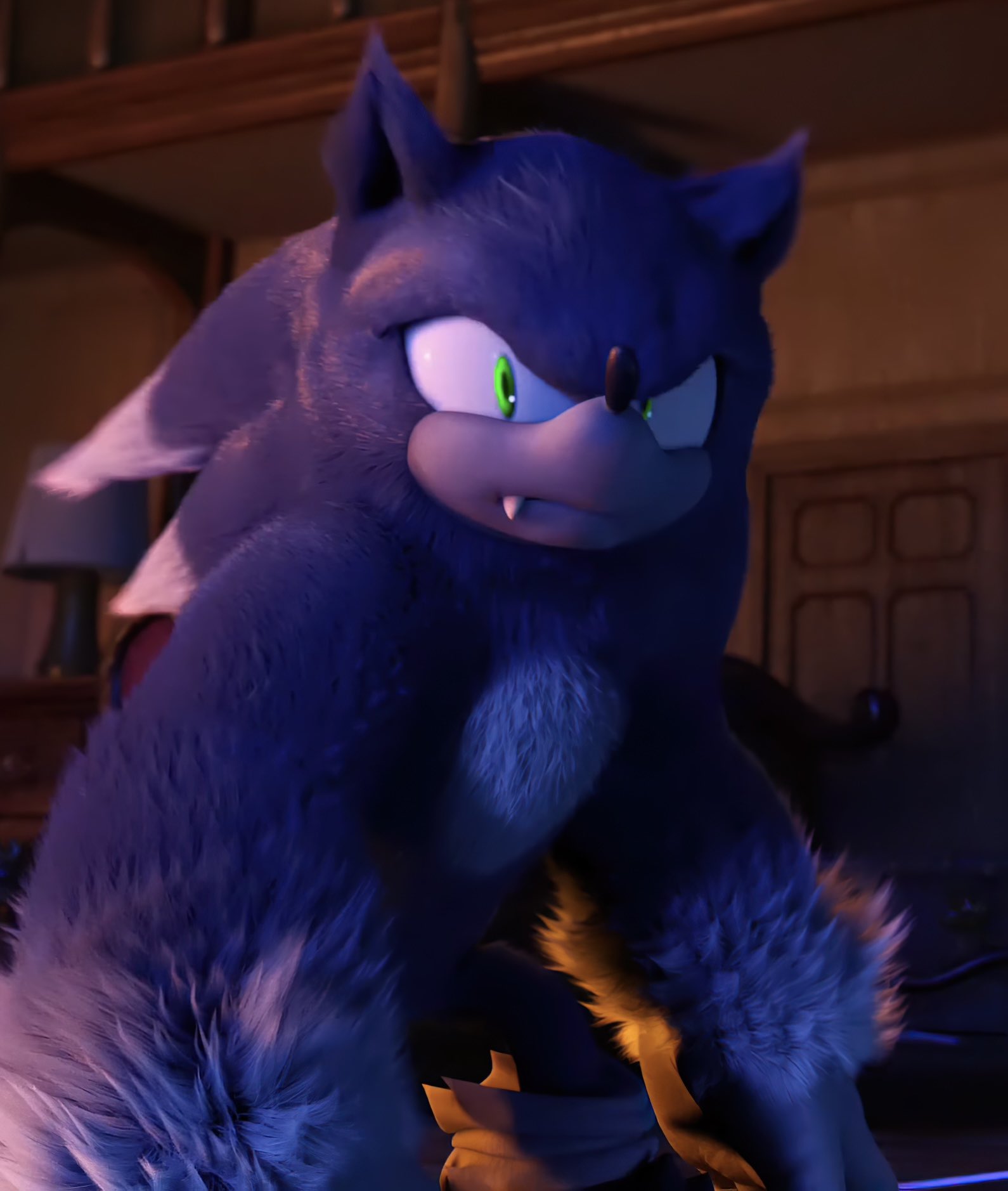 Sonic Unleashed Night Of The Werehog