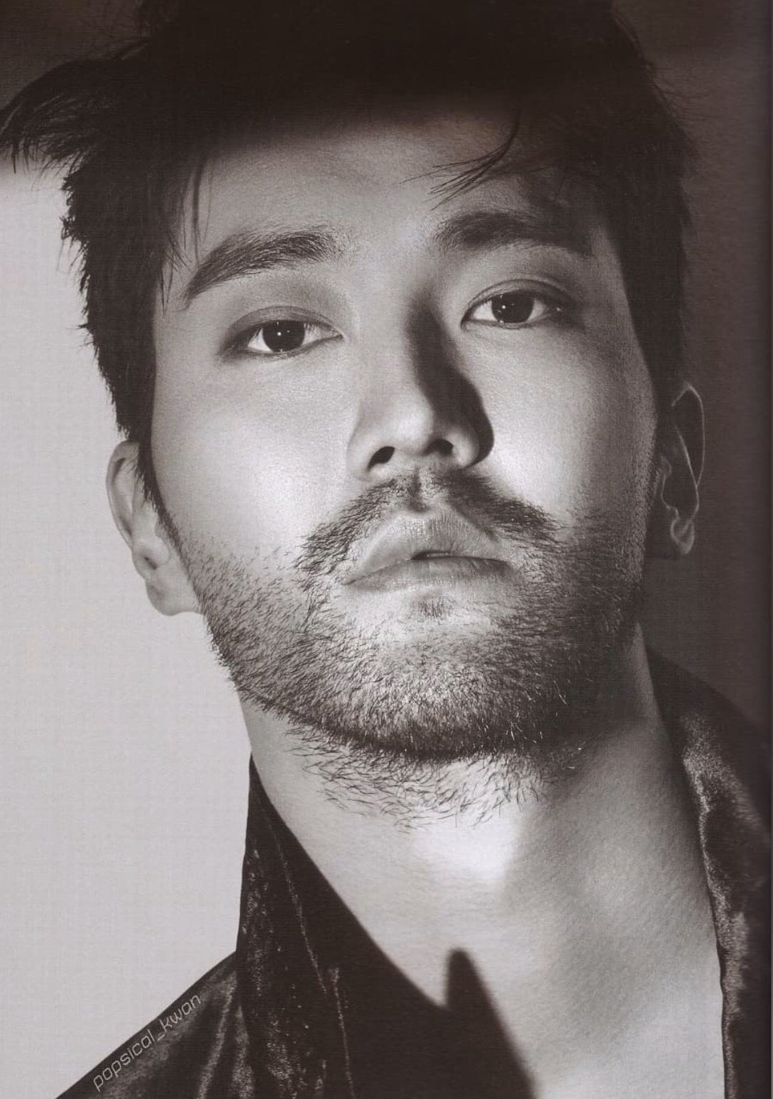 Siwon Beard