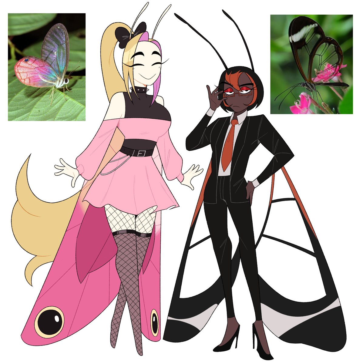 Twoucan - Bug Enthusiast 🪲🌈 (@Idolomantises)