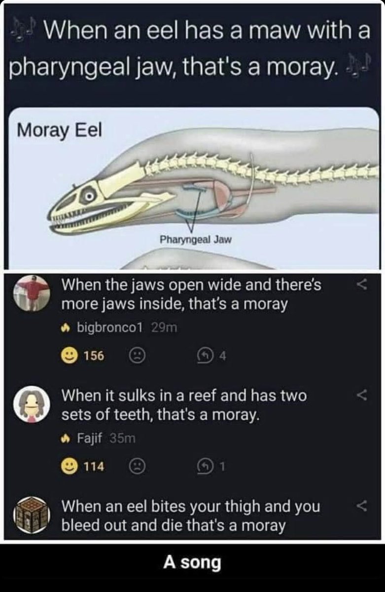 Eel Bite