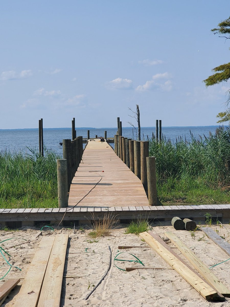 modou jallow (@modouj75) | Twitter