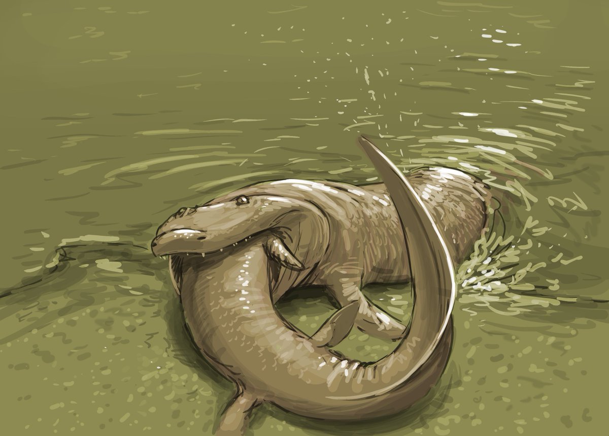 Twoucan - Joschua Knüppe (@JoschuaKnuppe)