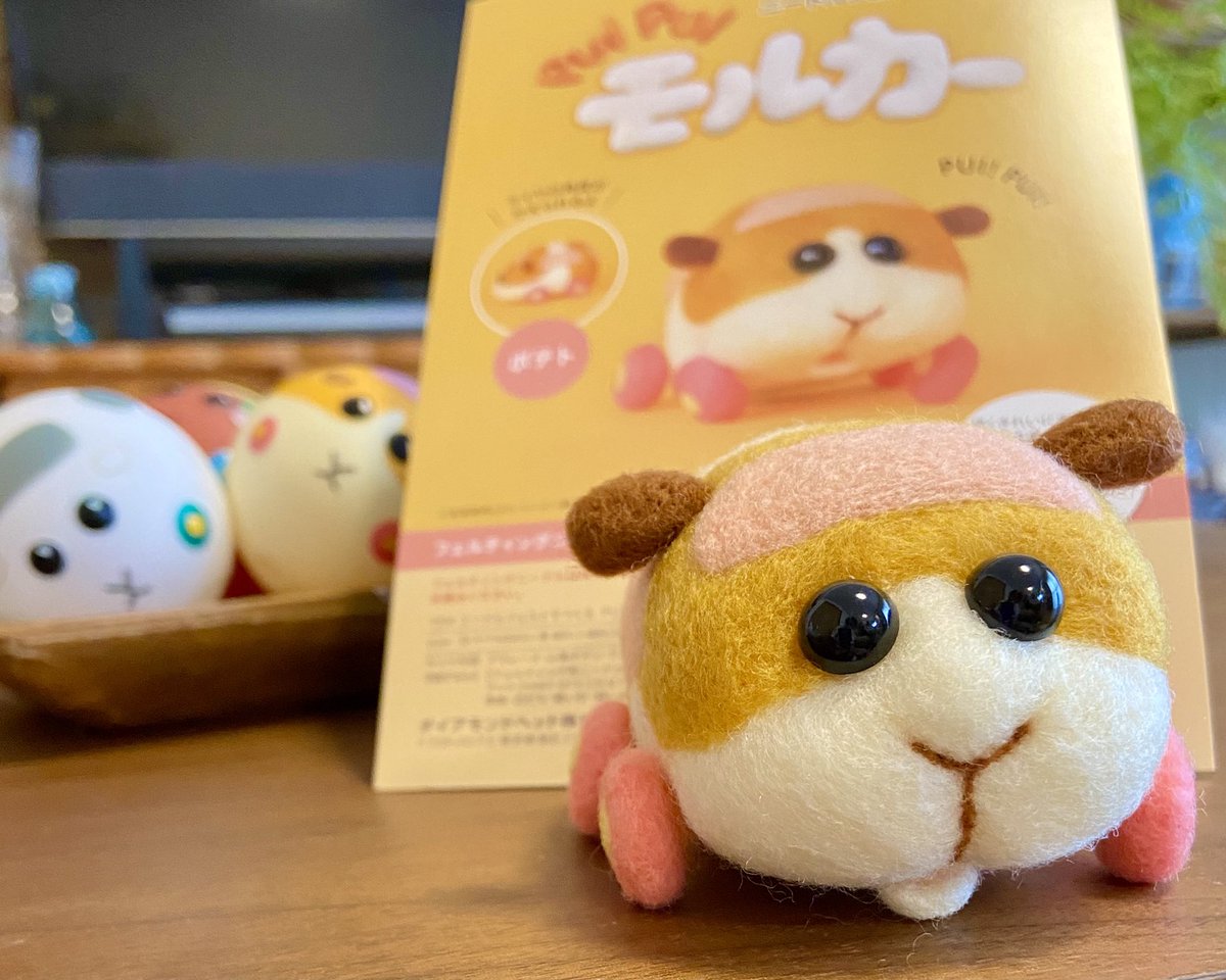 CANDY☆FLOWER kaechi (@CandyKaechi) さんのモデル作品まとめ (66 件) - Twoucan