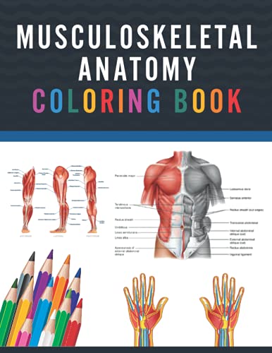 Anatomy Coloring Pages Muscular System