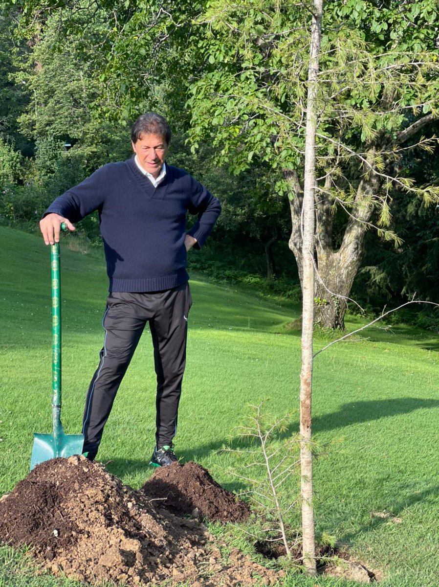 M Umer Ghafoor (@Mumerghafoor) | Twitter