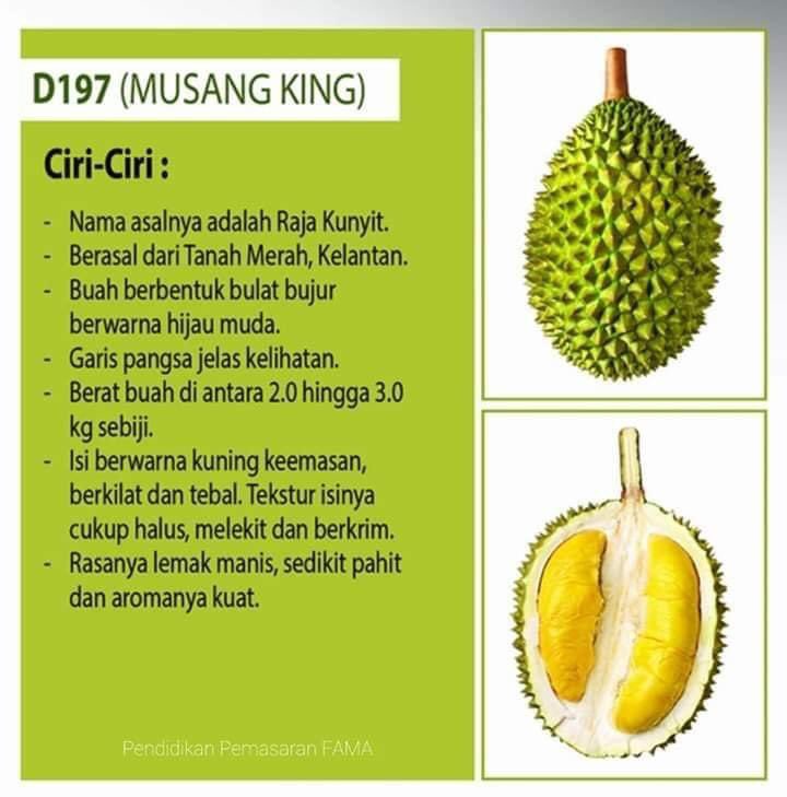 Durian Raja Kunyit