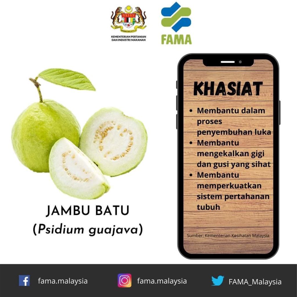 Buah Jambu Batu