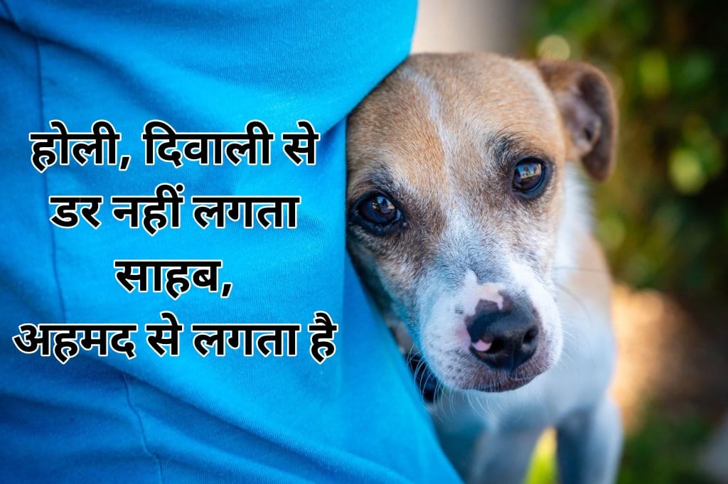 Sumant (@bandya2003) | Twitter