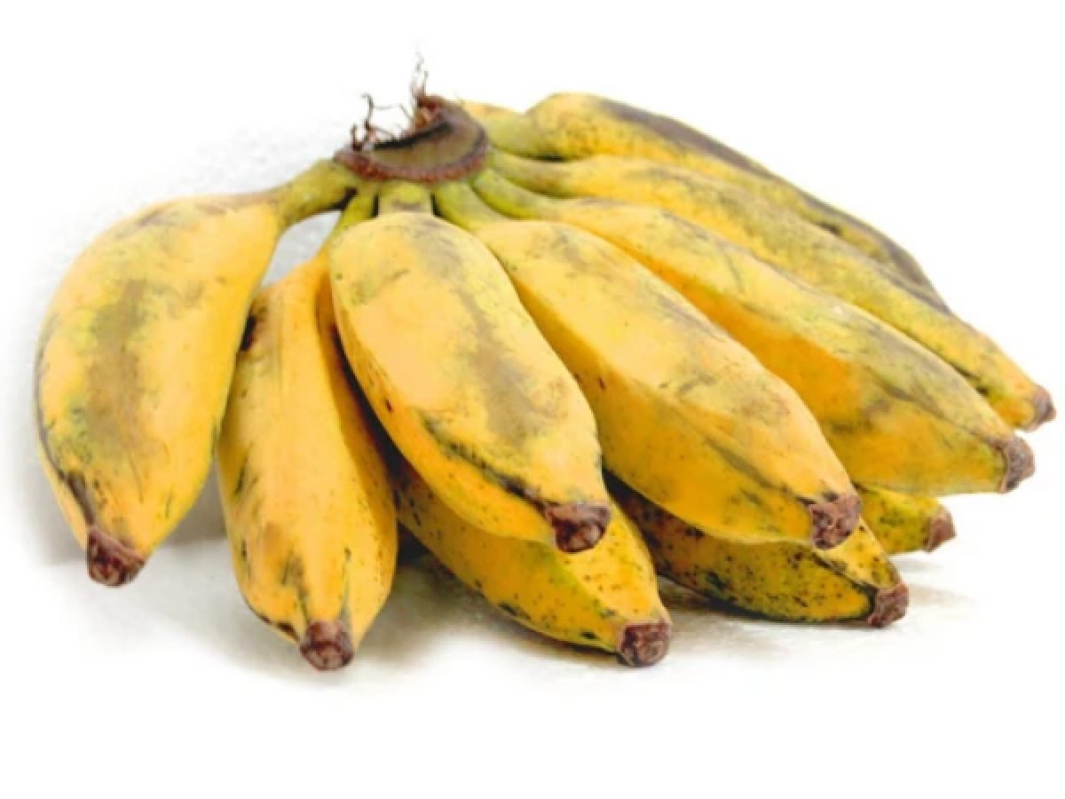 Know about Indigenous banana varieties of South India - Banana a ...