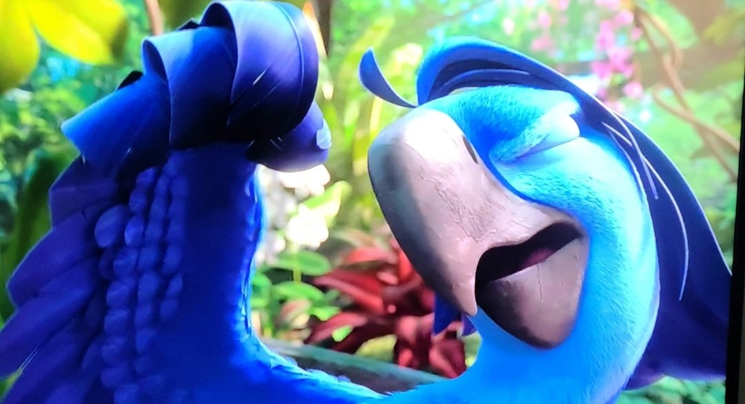 Rio 2 Roberto Bruno Mars