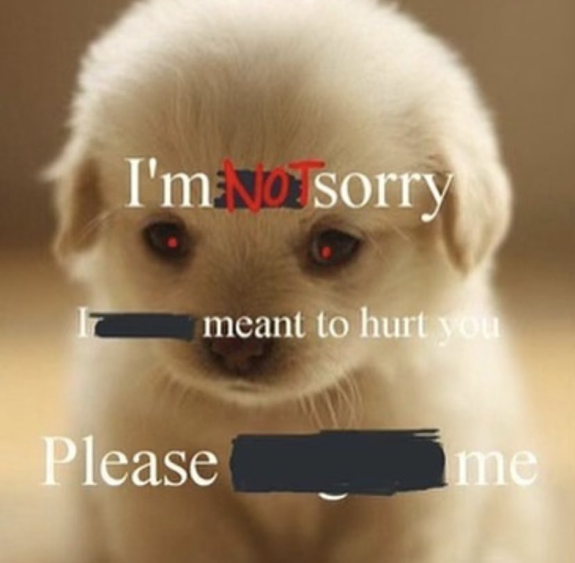 Im Sorry Dog Meme