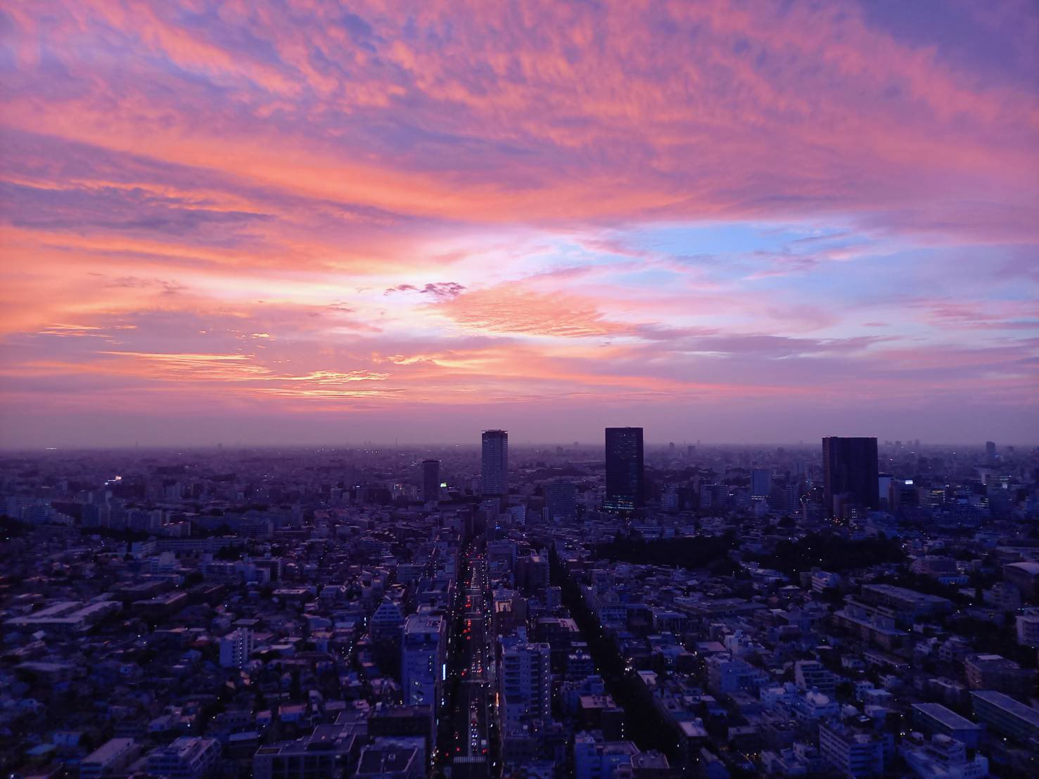 蓮舫💙💛RENHO🇯🇵 on Twitter: "友人からのプレゼント。 見惚れる夕陽のシェアです ️ https://t.co/OK0V5L2Dl2" / Twitter