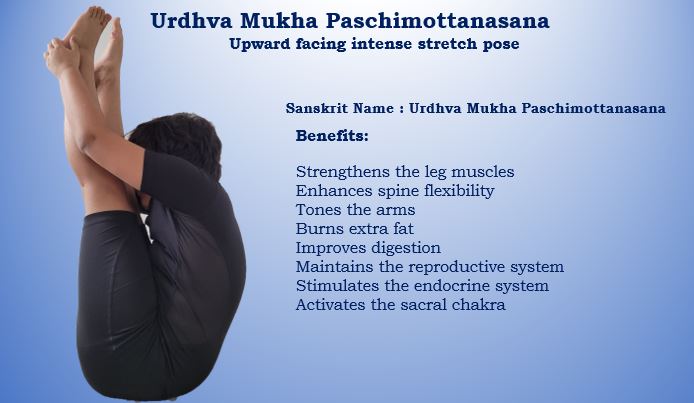 Urdhva Mukha Paschimottanasana