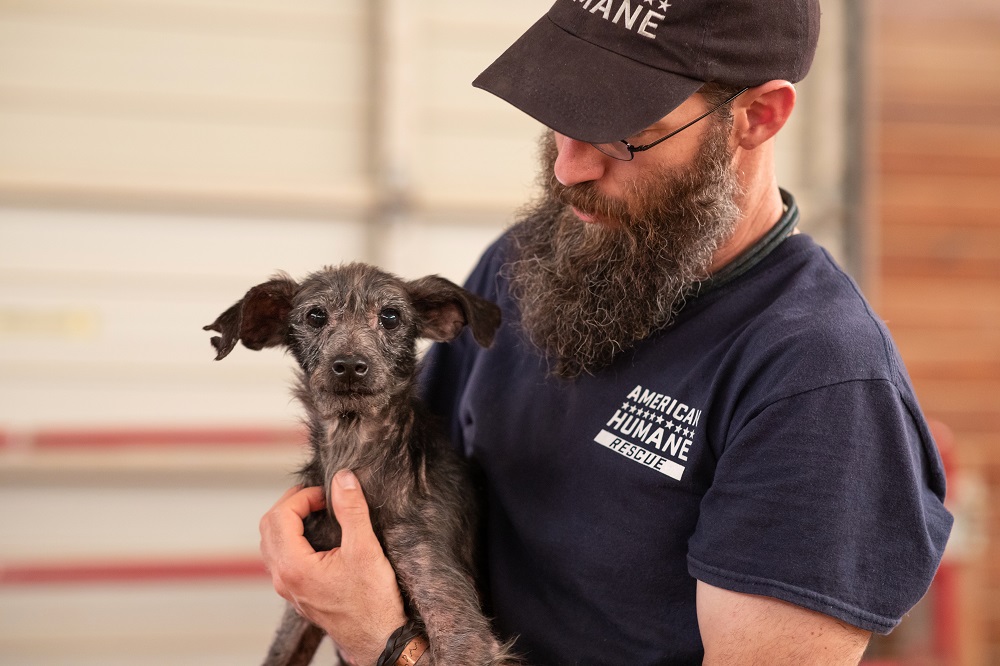 American Humane Certified Unveils New Standards for Aquaculture ...