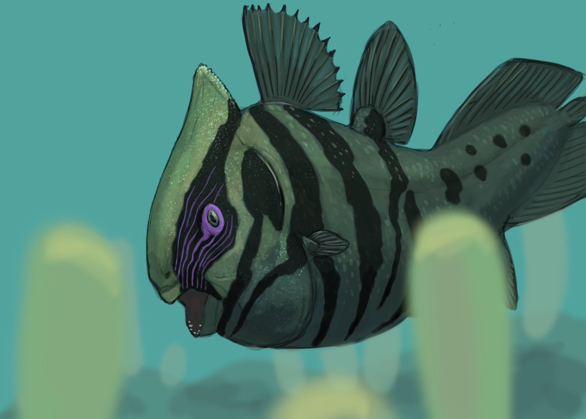 Twoucan - Joschua Knüppe (@JoschuaKnuppe)