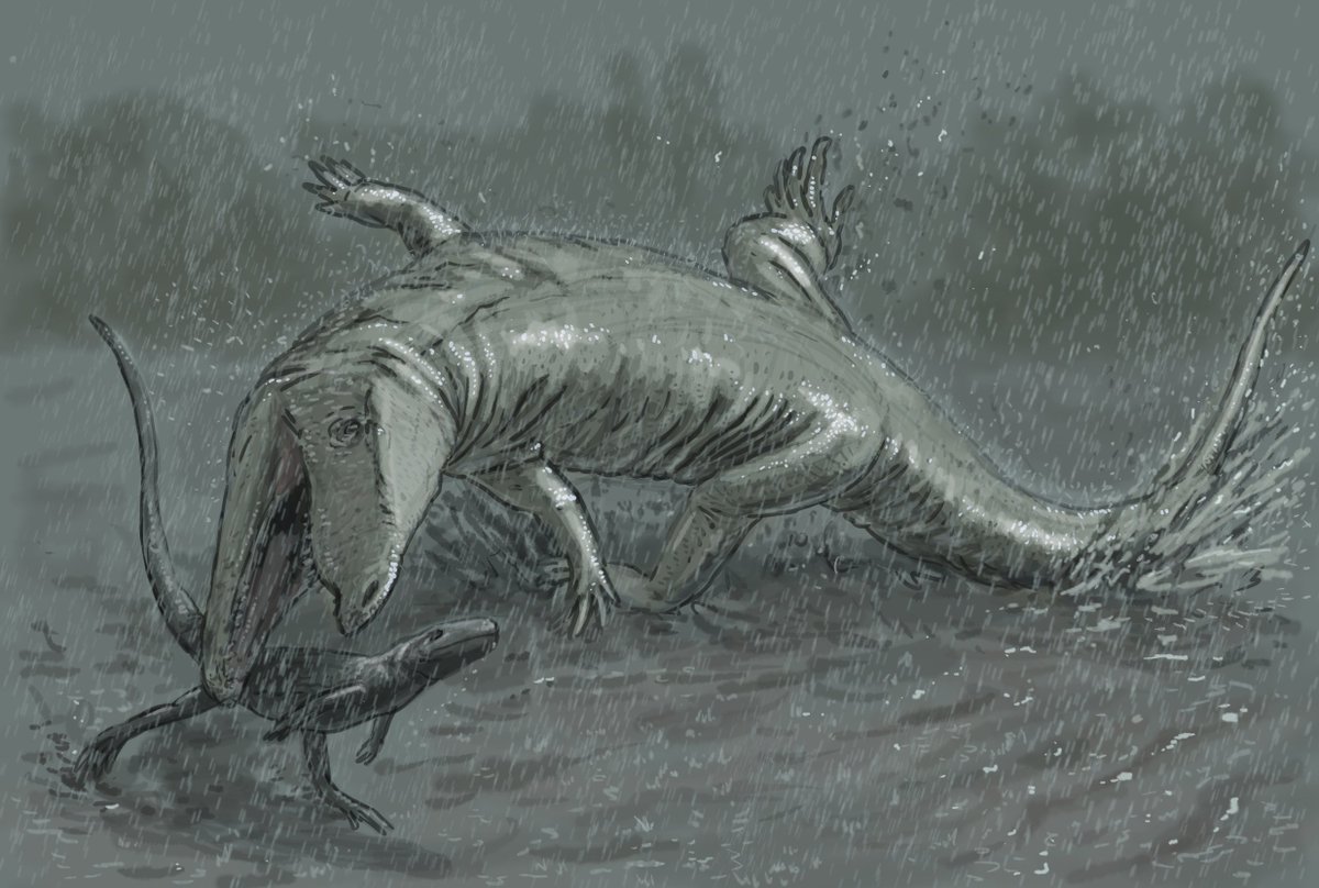 Twoucan - Joschua Knüppe (@JoschuaKnuppe)