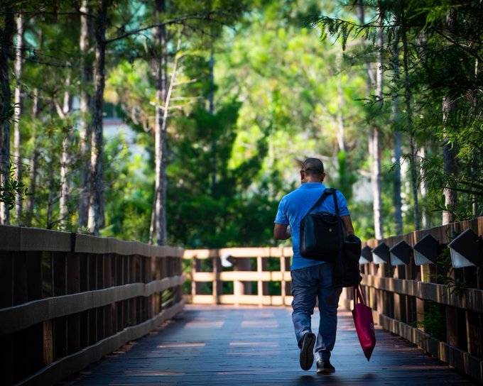 Florida Gulf Coast University | Home