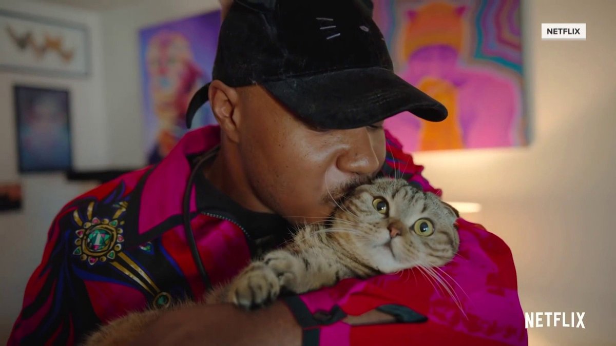 Tyler The Creator Tamale Cat