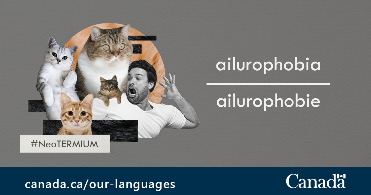 Ailurophobia