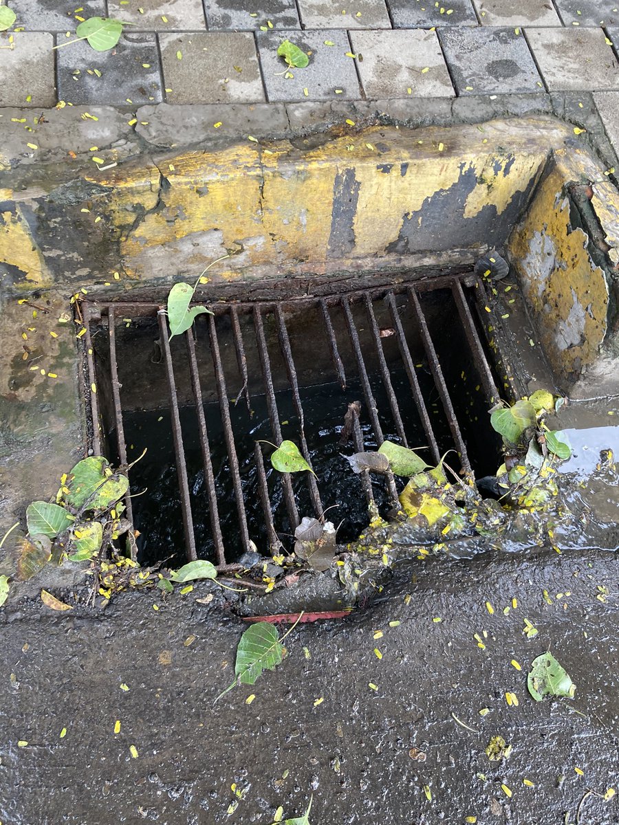 shweta dalal (@DalalShweta) | Twitter