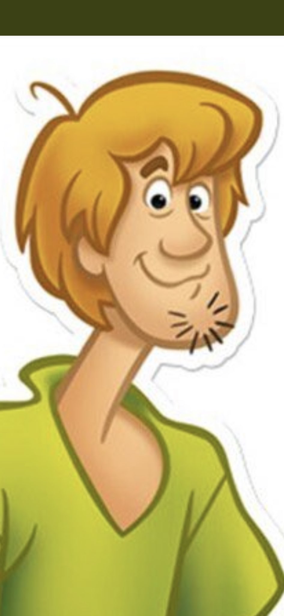 Scooby Doo Shaggy Chin