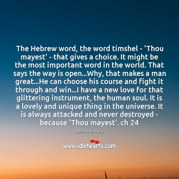 Timshel Hebrew