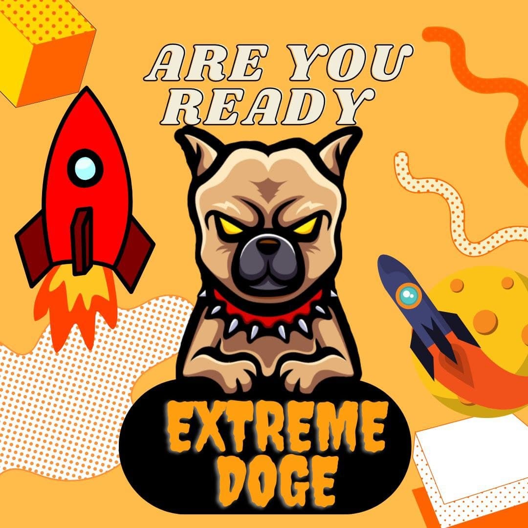 BitcoinxV2.0 (@bitcoinxv2) | Twitter