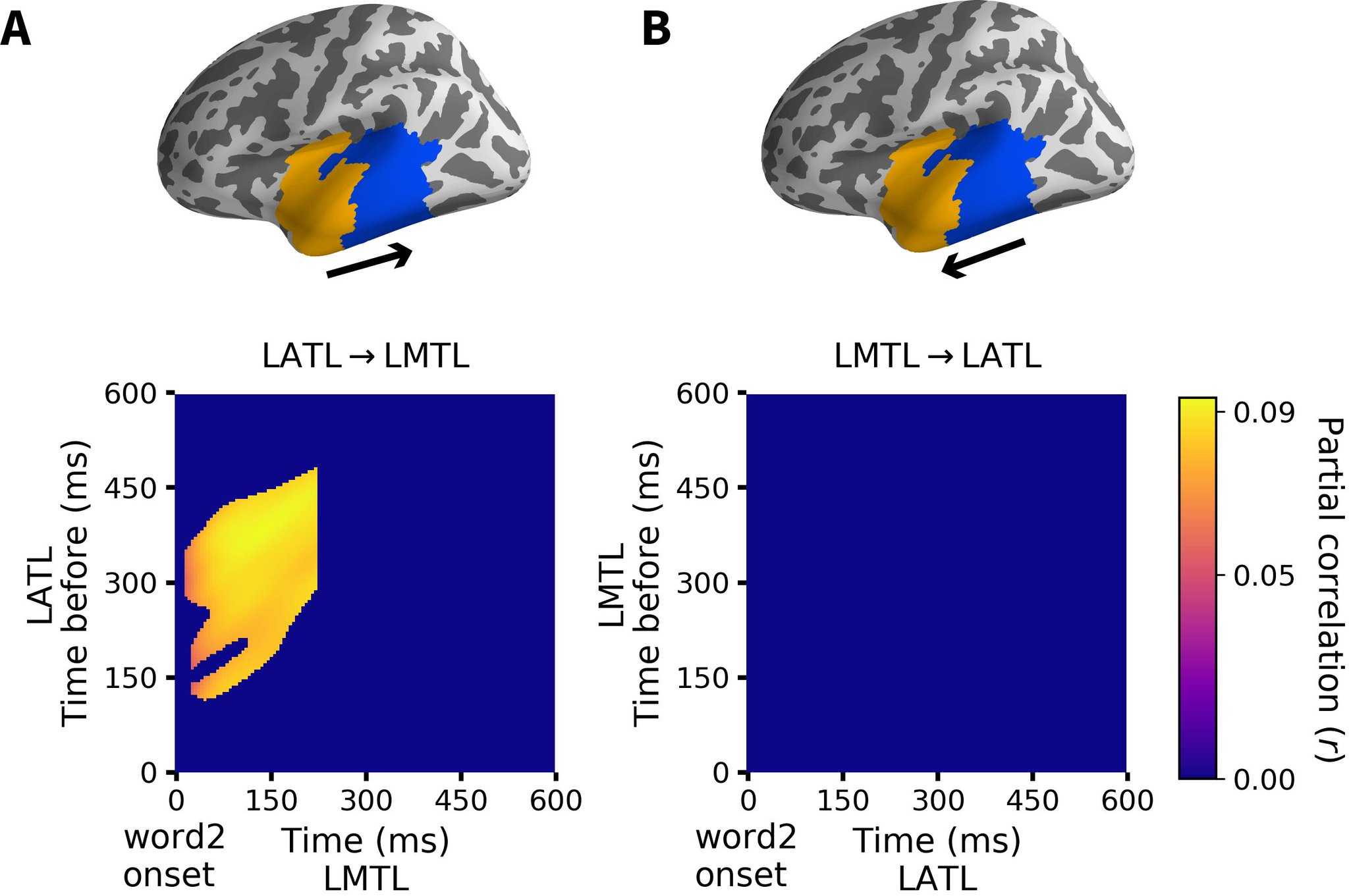 Jixing Li on Twitter: "Pattern-based directed connectivity analyses further revealed a ...
