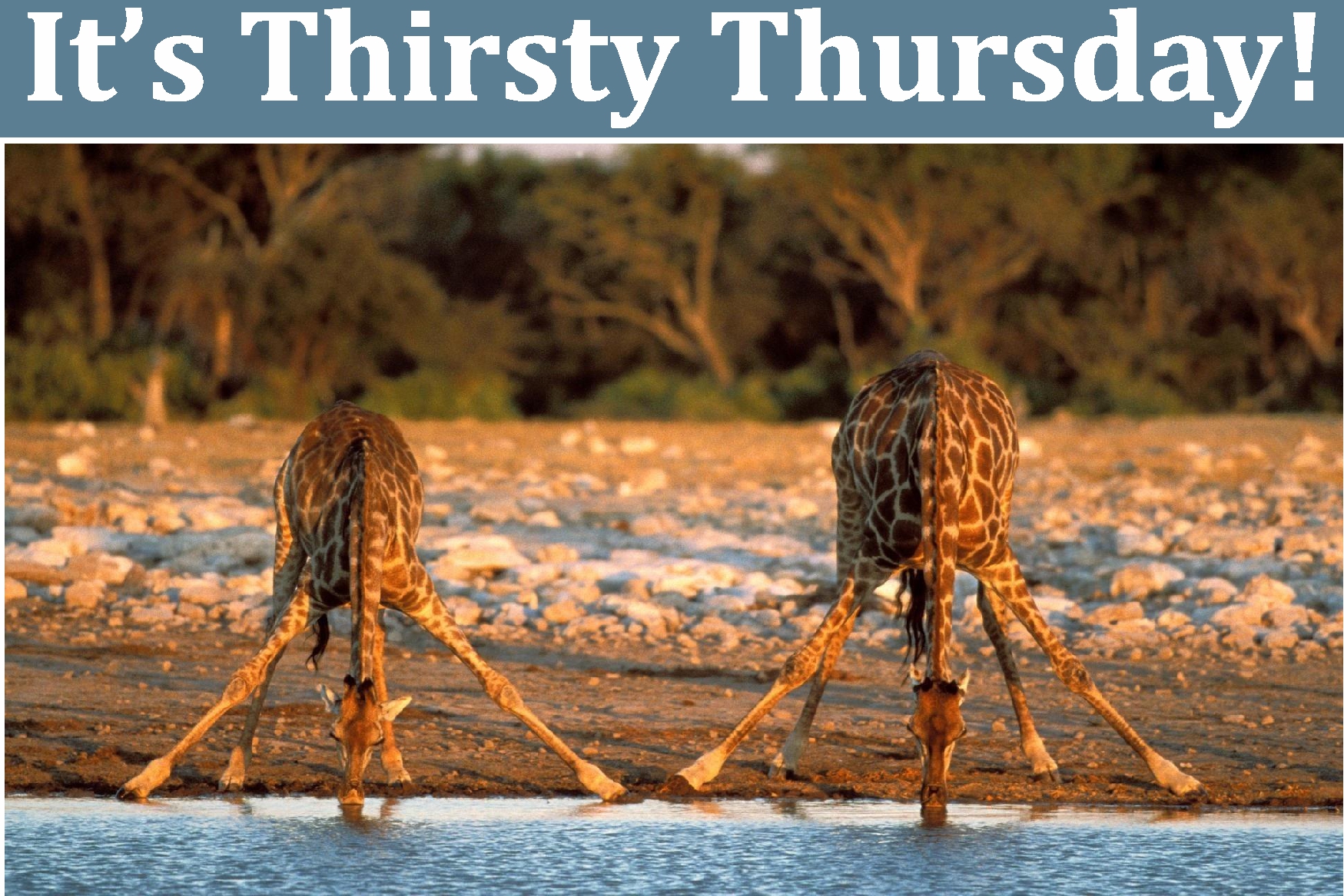 Thirsty Thursday Water