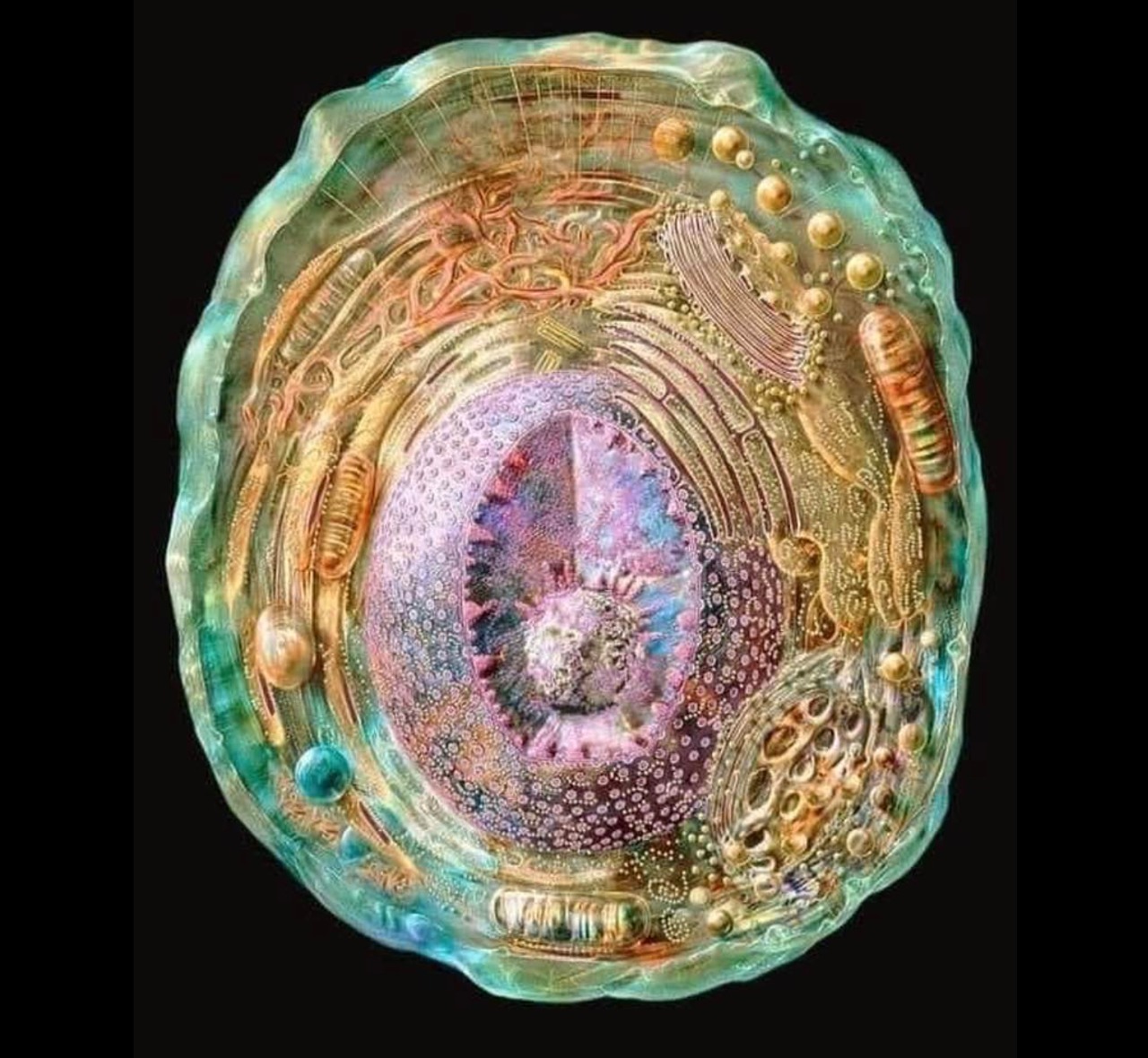 Celula Humana Real 26.269 Célula Humana Stock Photos, High Res