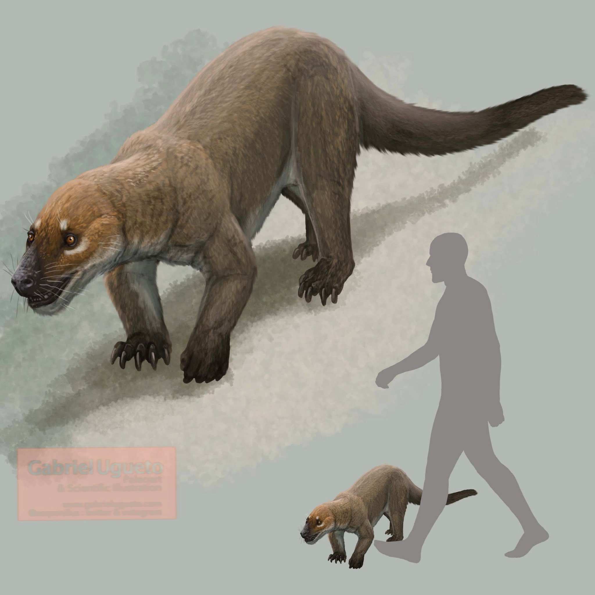 Some species that have never been suggested New species! - Page 25 ...