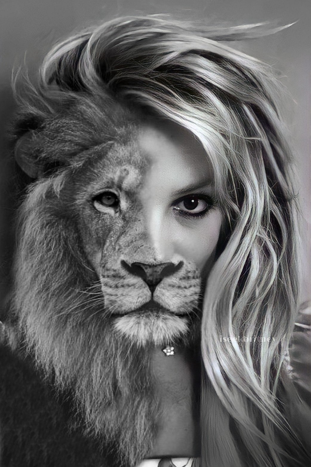 Half Human Half Lion Face