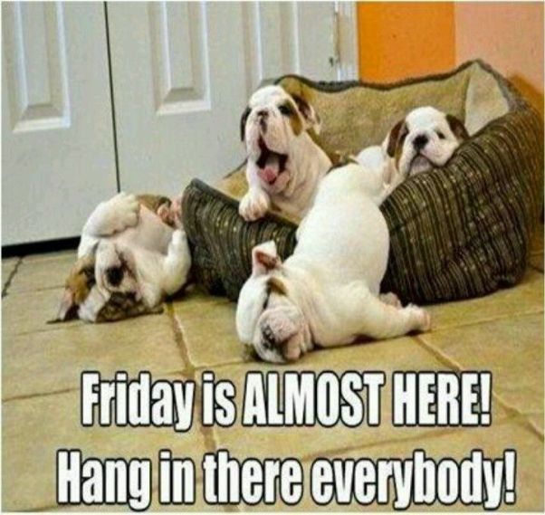 Hang In There Its Almost The Weekend