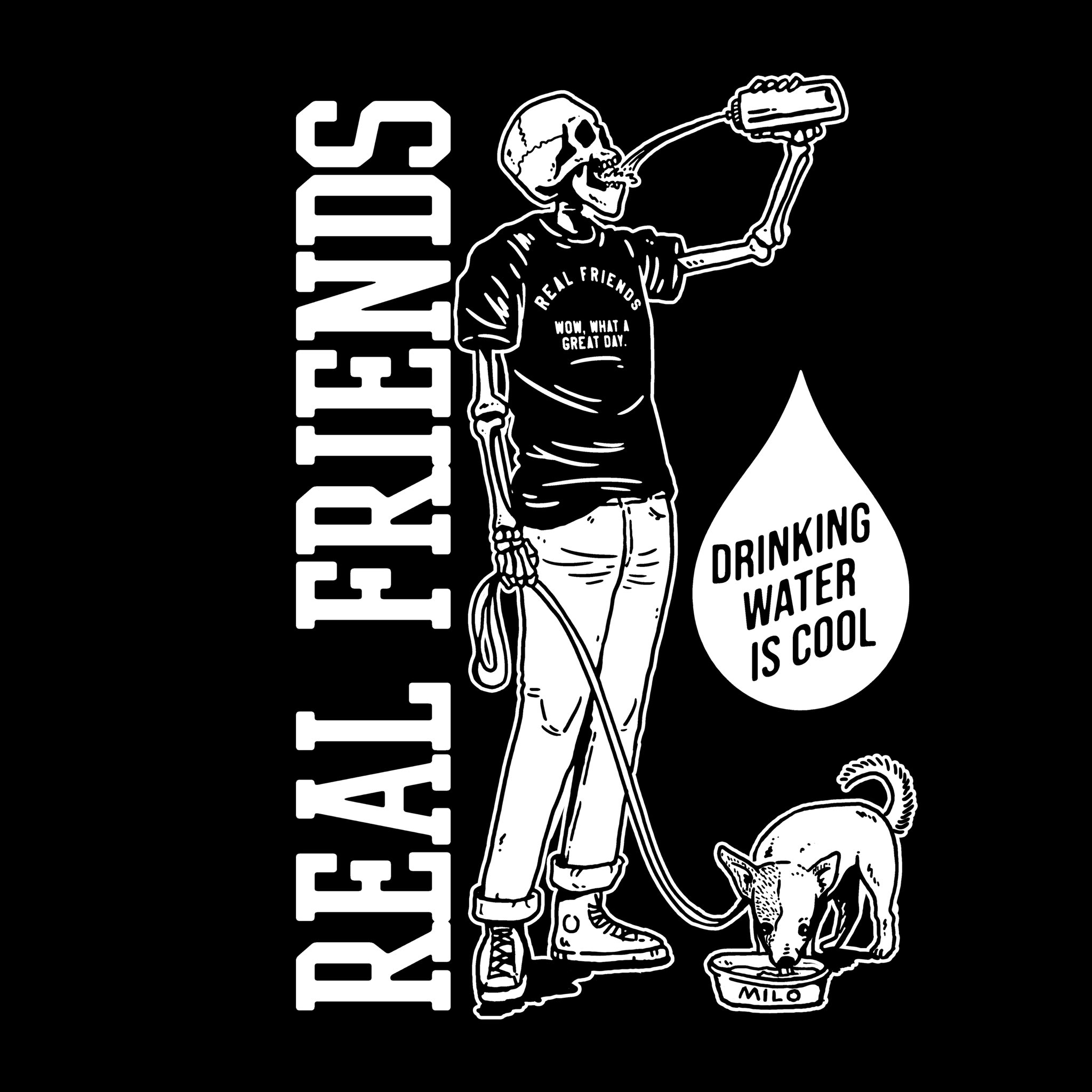 Real Friends Band