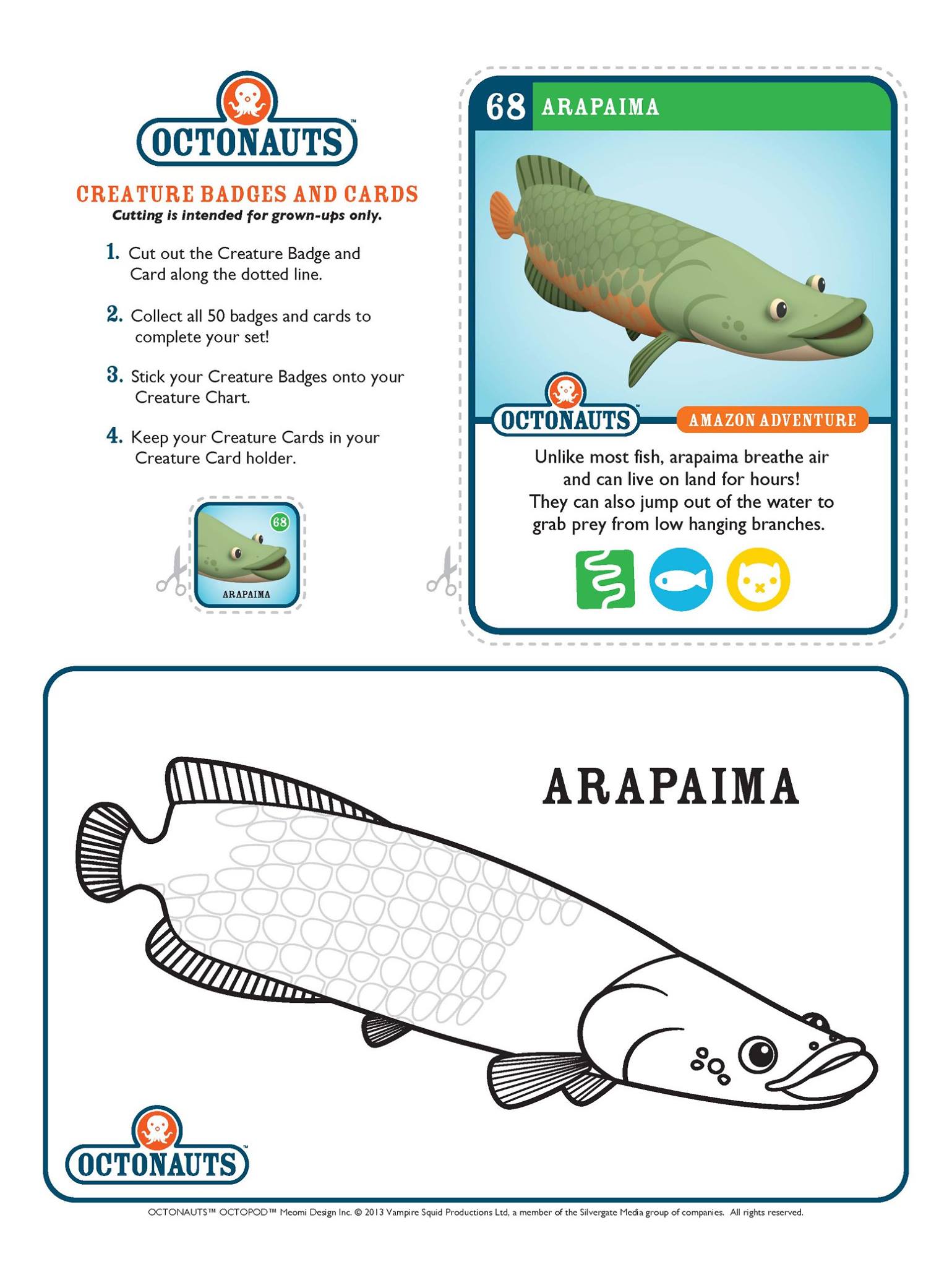 Octonauts Amazon River Animals Octonauts Mysteries Of The Jungle