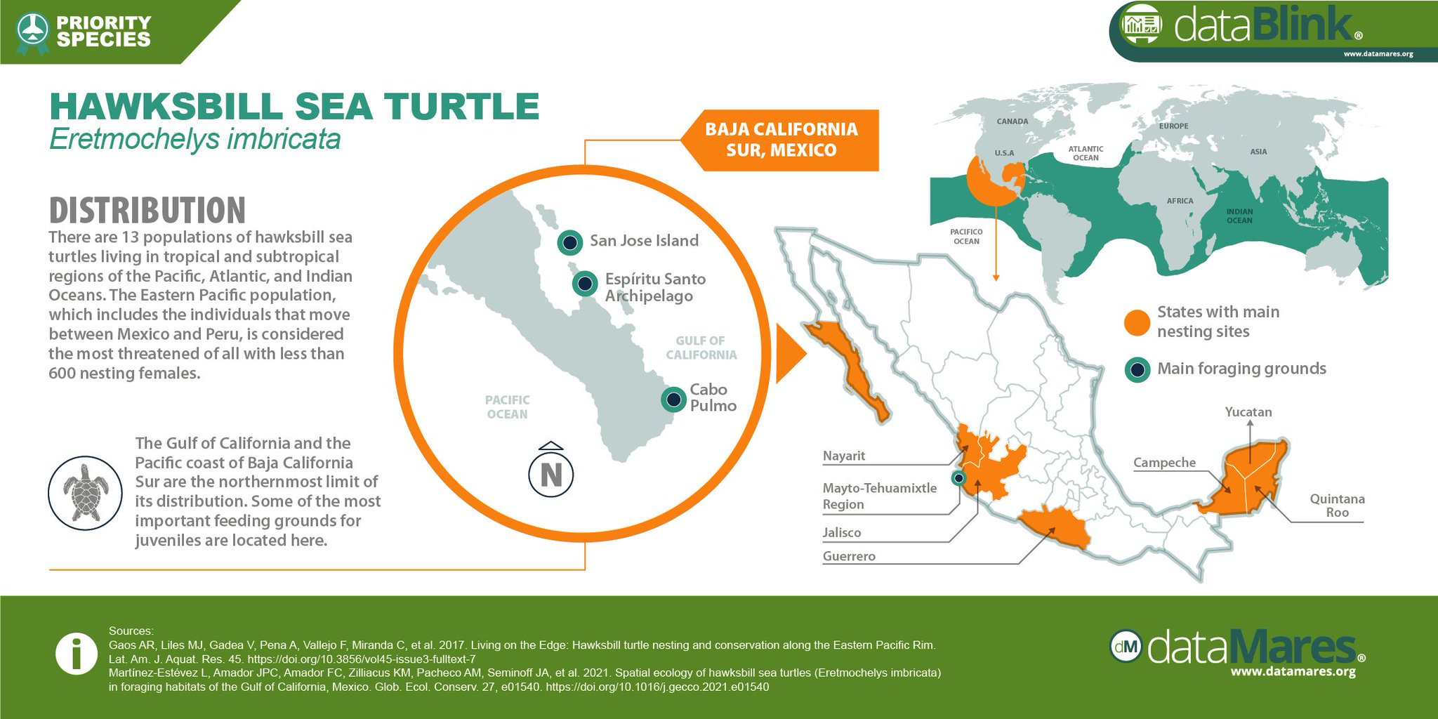 Hawksbill Sea Turtle Map