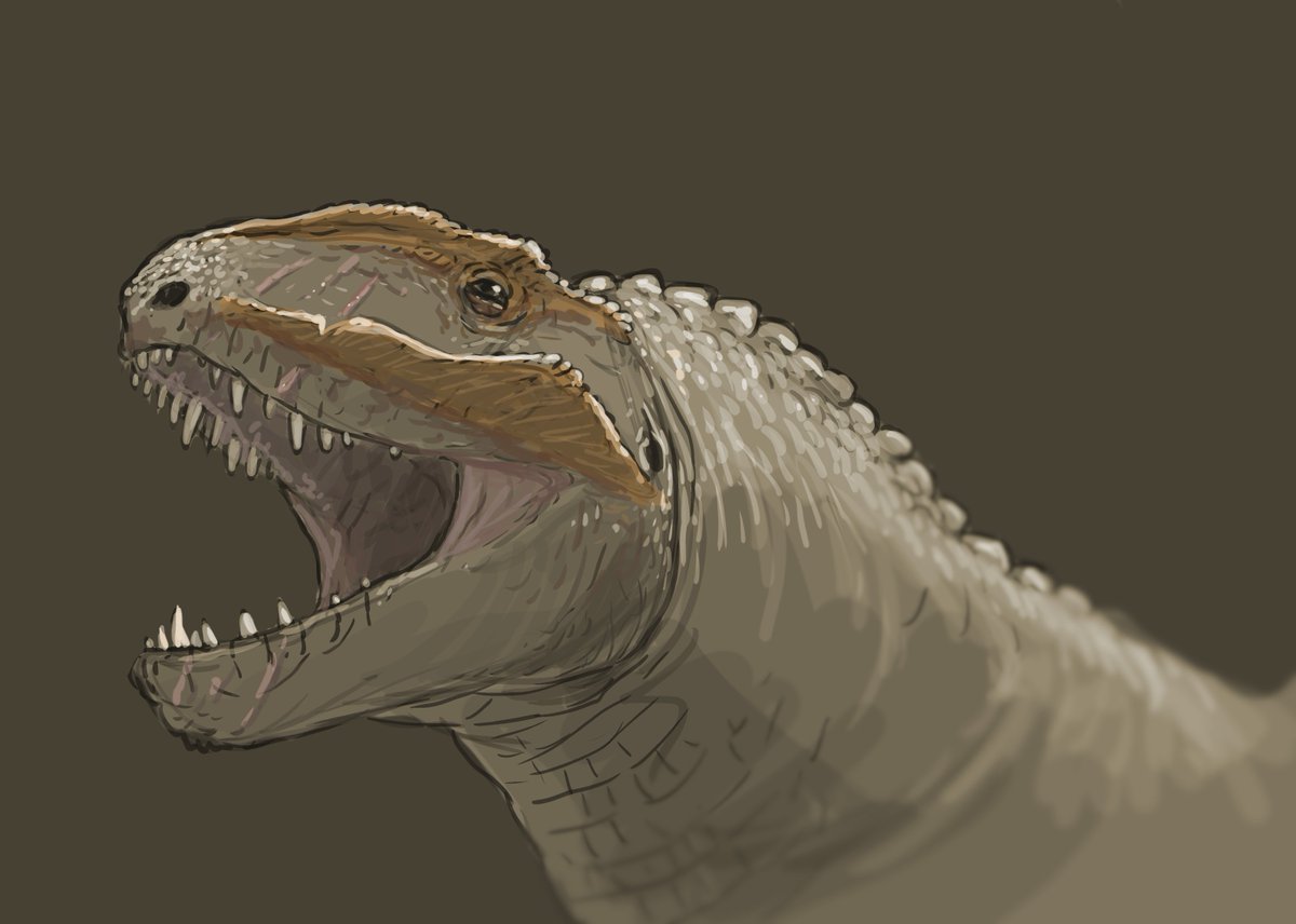 Twoucan - Joschua Knüppe (@JoschuaKnuppe)