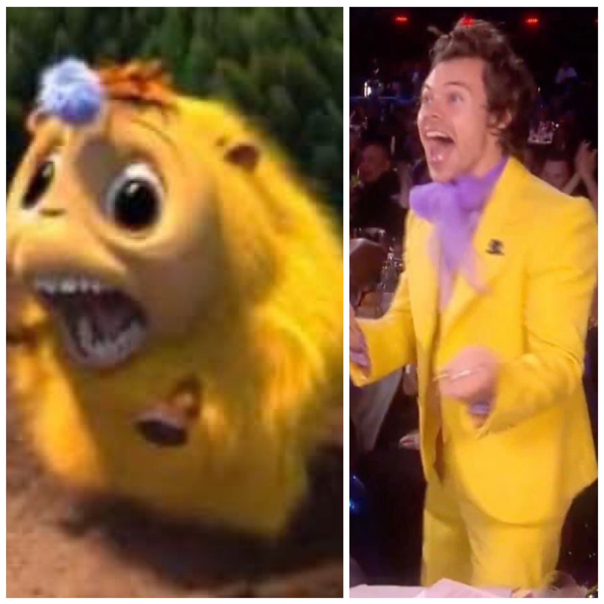 Horton Hears A Who Katie Costume