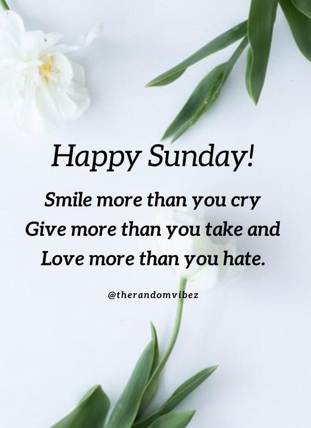 Happy Sunday Everyone