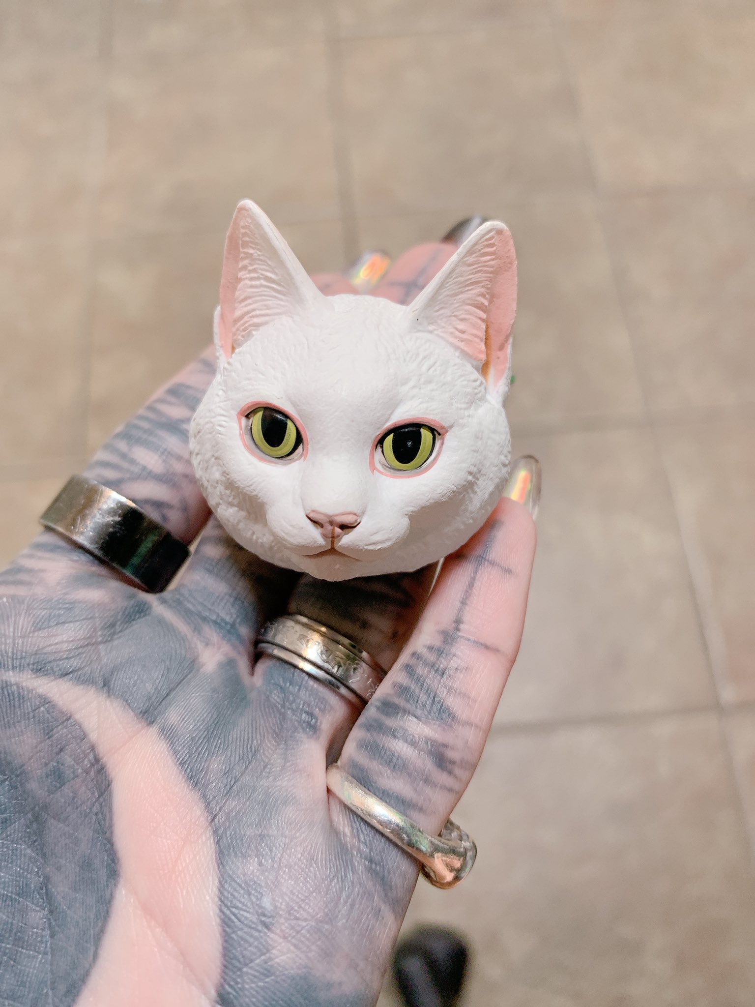 CHAPI 🐳 ちゃぴ on Twitter: "ガチャガチャの猫ちゃんw…