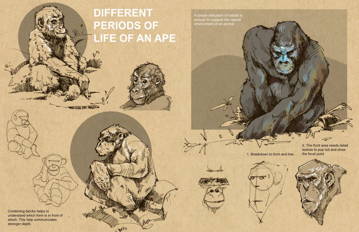 「Dynamic Bible by Peter Han https://t.co/L16usV3cx0 」Kim Jung Gi USの漫画