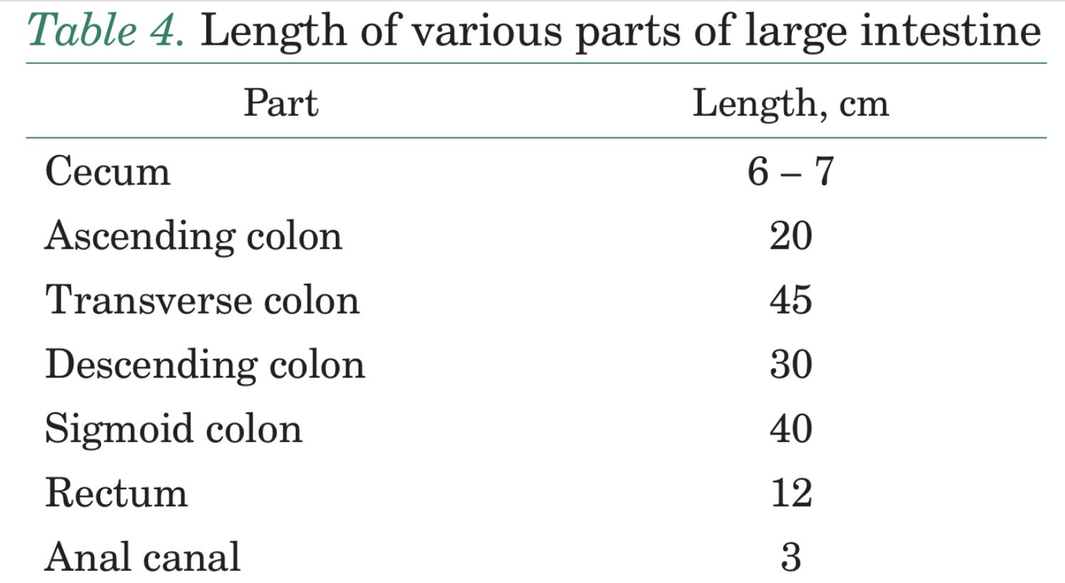 How Large Is 4 Centimeters