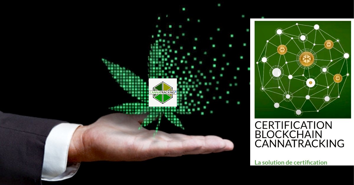 Cannatracking (@cannatracking) | Twitter