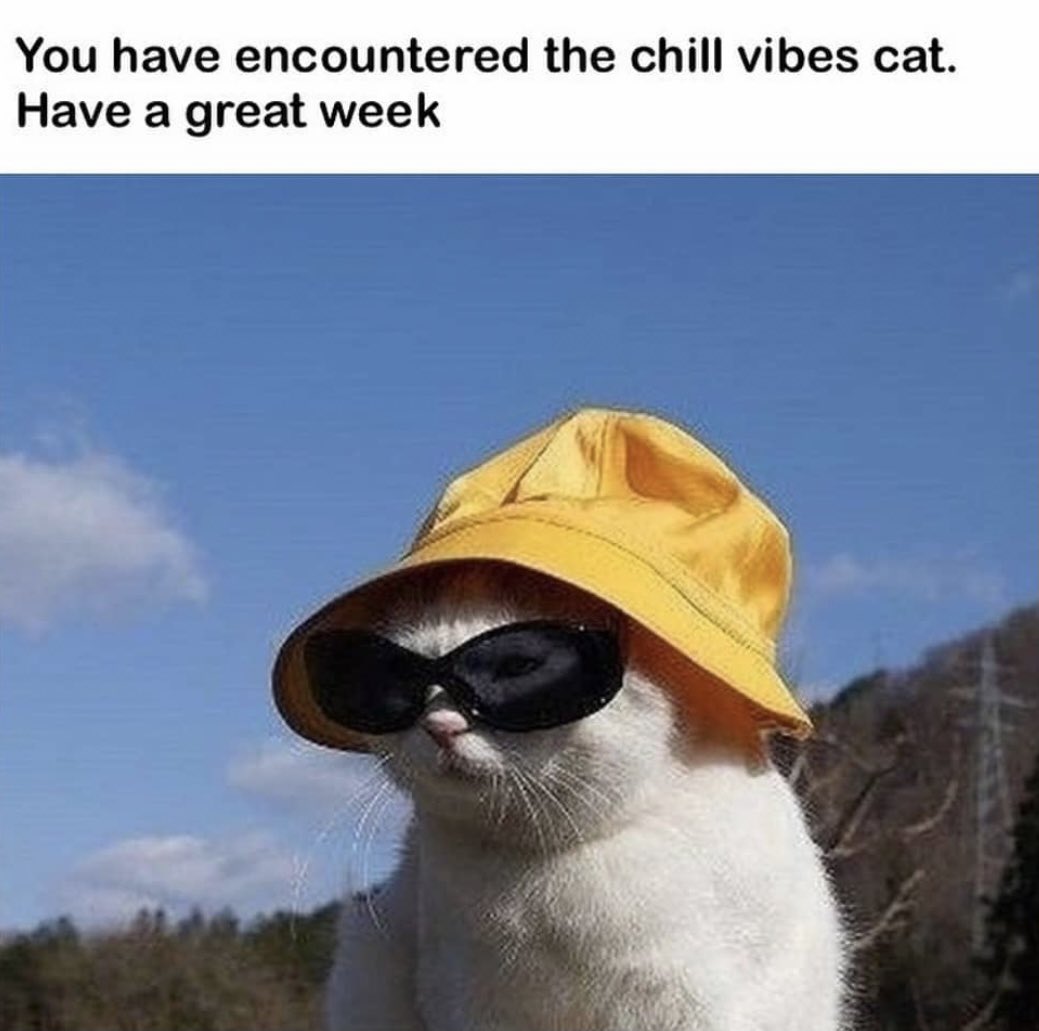 Have A Good Week Cat