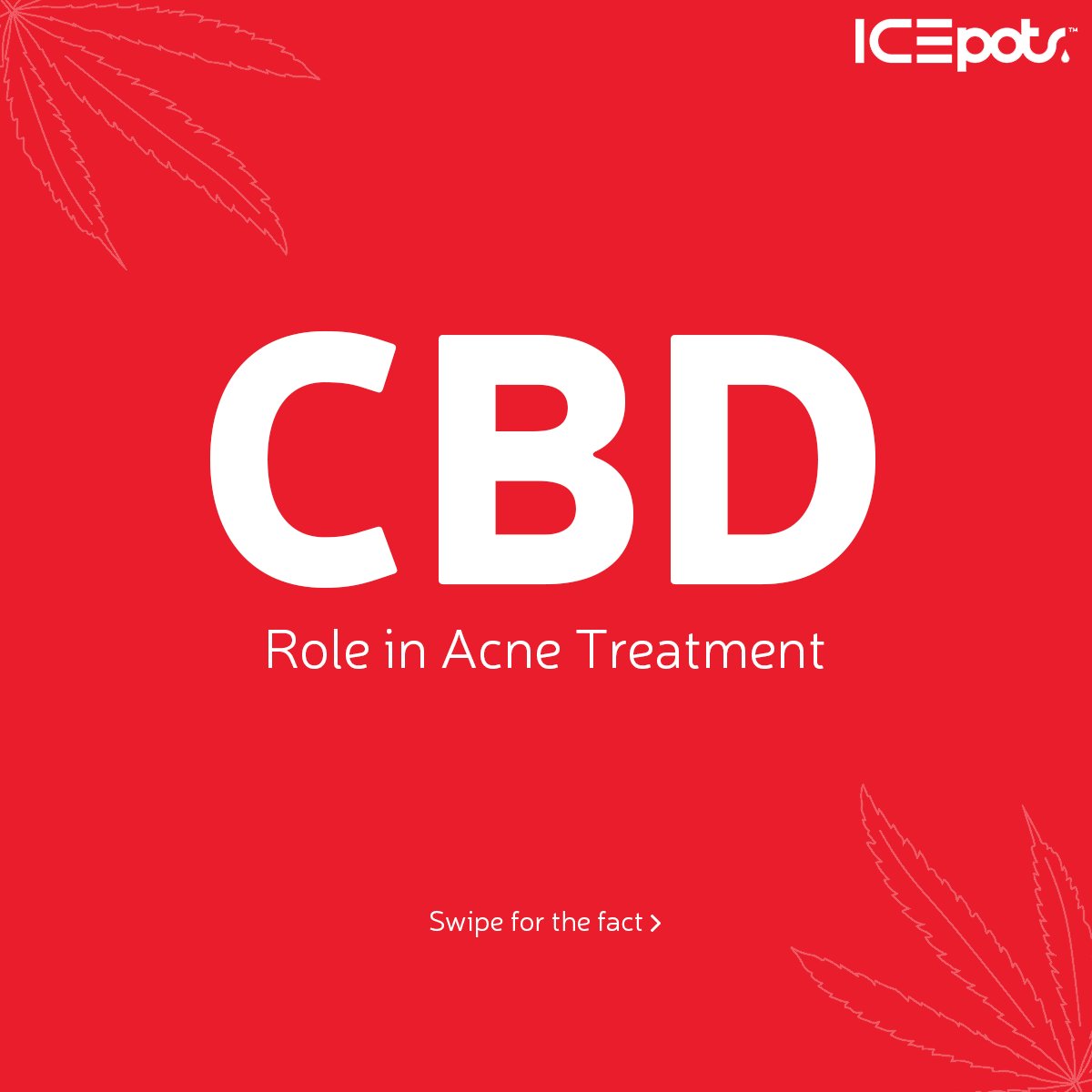 ICEpots on Twitter: "CBD is pretty helpful in acne treatments, it has been proven by the ...