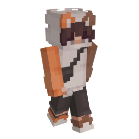 Minecraft Cat Face Skin