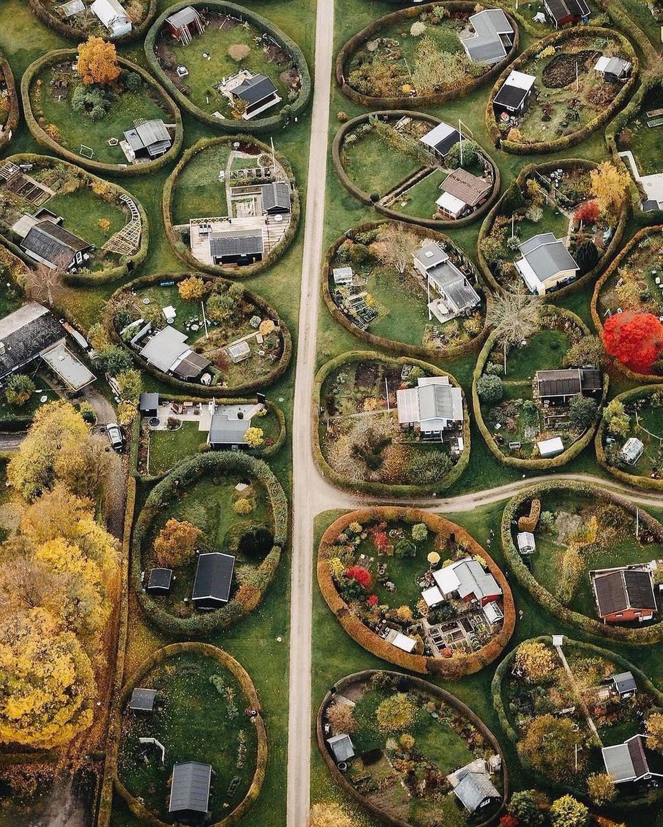 "Naerum Allotment Gardens" สวนผักบนพื้นที่จัดสรร ที่มีบ้านและสวนผักเป็น ...