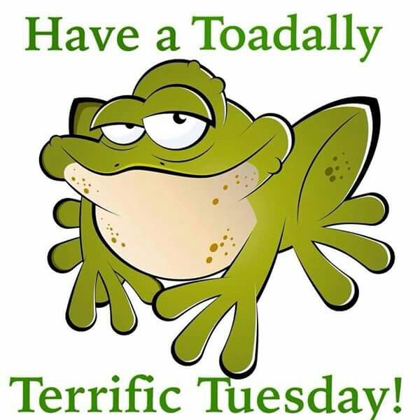 Have A Terrific Tuesday